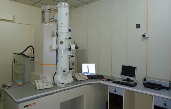 University of Peshawar